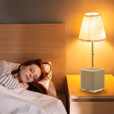 Air Purifier Vs Dehumidifier Key Differences And When To Use Hisoair