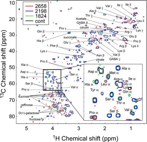 Example Of 1 H 13 C Hsqc Spectra And Assignment Of The Signals To Download Scientific Diagram