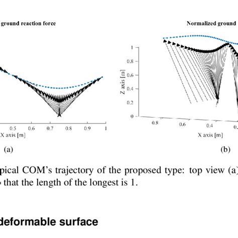 Trajectory Of A Humans Com During Walking On A Deformable Surface Download Scientific Diagram