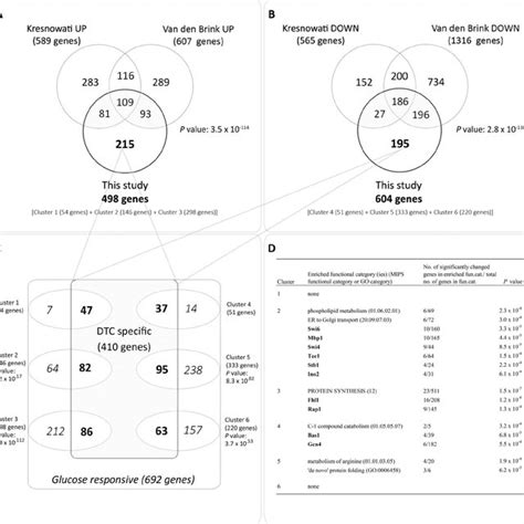 Cyclic Variation In Cell Cycle Distribution And Cell Cycle Regulated