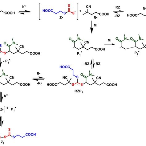 Pdf Evolution Of Molar Mass Distributions Using A Method Of Partial