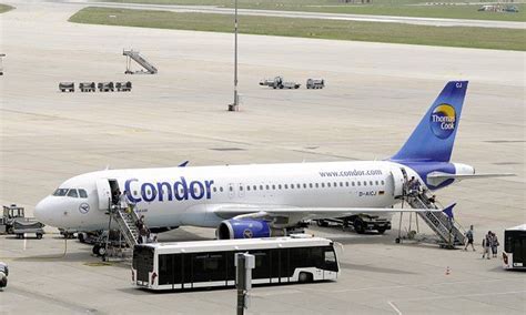 Plane Escorted By Fighter Jets After Row Over Passengers Cat Travel Passenger Fighter Jets