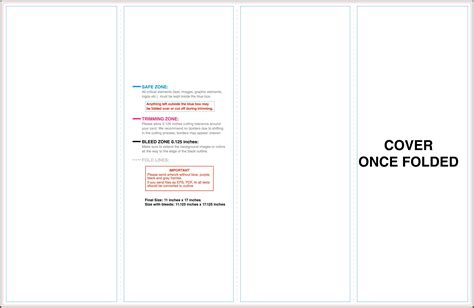11x17 Tri Fold Brochure Template Template 1 Resume Examples Qeyzjmdy8x