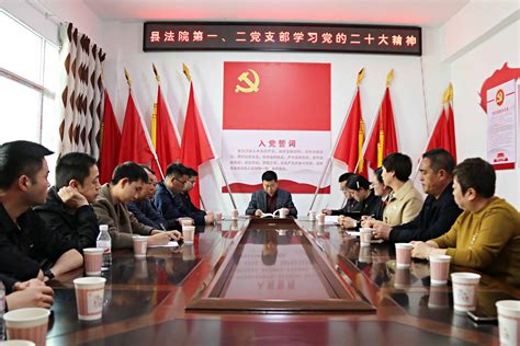 沿河法院开展“学习贯彻党的二十大精神”主题党日活动澎湃号·政务澎湃新闻 The Paper
