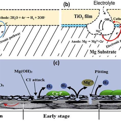 Schematic Of Protection From Corrosion By Coatings On Mg A Without