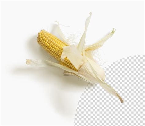 Premium Psd Corn Isolated White Background