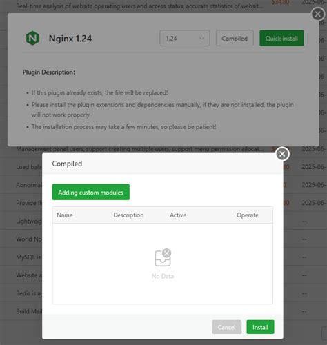 Guide Install Nginx With Pagespeed Module Aapanel Free Hosting