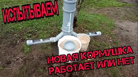 РАБОТАЕТ ИЛИ НЕТ НОВАЯ КОРМУШКА - YouTube