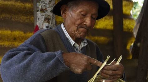 ¿cuáles Son Las Ventajas De La Exoneración De Impuestos En Ecuador