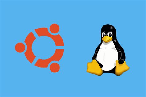 Wsl Vs Vm：linuxは仮想マシンとwslのどちらで動かすべきか？ Minitool Partition Wizard