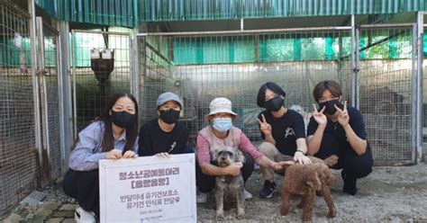 시립수서청소년센터 청소년공예동아리 올랑올랑 유기견 보호소에 재능기부 물품 전달