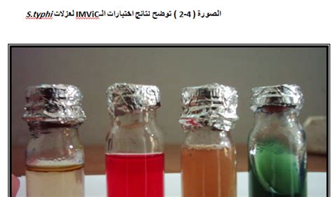 Pdf Imvic S Typhi