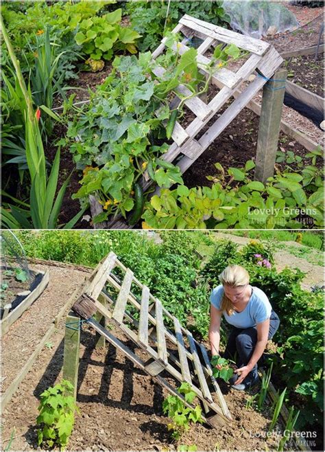 20 Homemade Diy Cucumber Trellis Ideas Blitsy