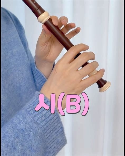 리코더에 180도 돌아봐요♪ 시 B 기본 음계 운지법 소프라노 리코더 리코더 리코더운지 리코더음계 Recorder