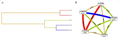The Dendrogram And Fruchterman Reingold Of Snp Snp Interaction A