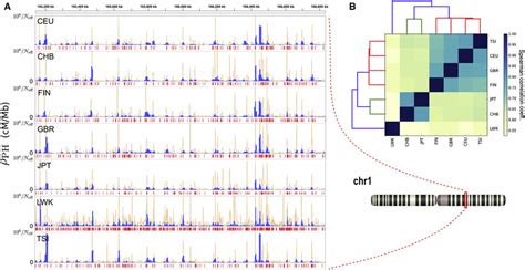 Recombination Rate Estimates Across Distant Human Populations A Download Scientific Diagram