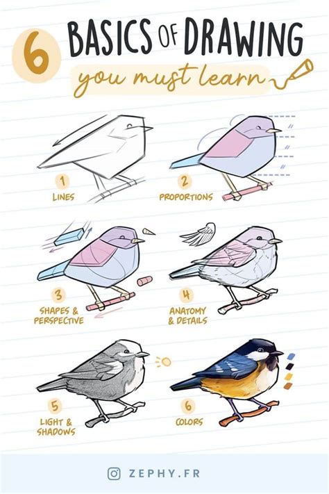 Bird Drawing A Guide To Techniques And Styles Sky Rye