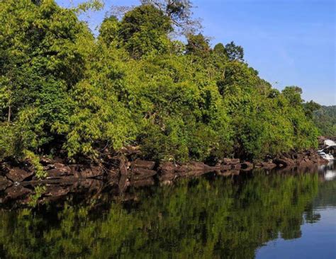 ឧទ្យានជាតិកែប ជាឧទ្យានជាតិបេះដូងនៃទីក្រុងកែប សារព័ត៌មាន នគរវត្ត