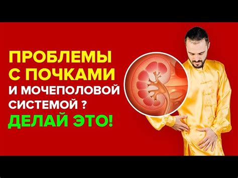 Боль в области почек - причины, симптомы и лечение