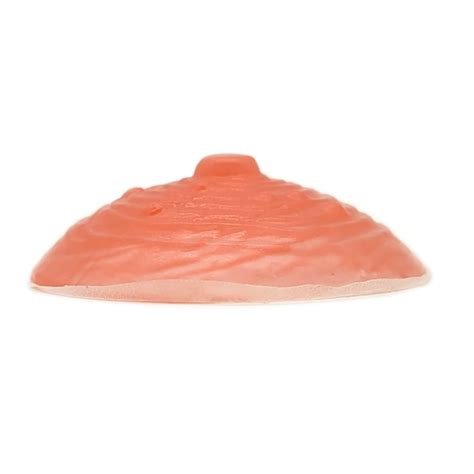 Silikon aufsteckbare GROßE AREOLA Brustwarze für Brustformen / - Etsy.de