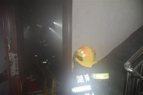 今年长达40天它们也需要降暑