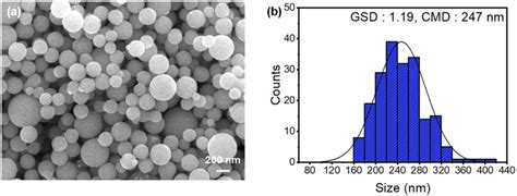 a fesem image and b particle size distribution histogram of the