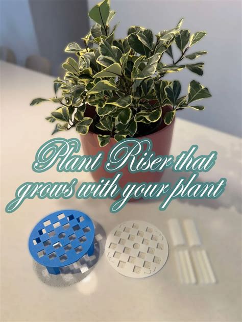 Plant Pot Riser That Grows By Vmtsquad Makerworld