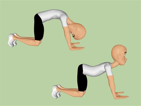 How To Exercise Your Back 13 Steps Wikihow
