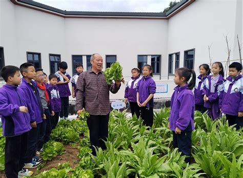 双减在行动丨摘蔬菜评菜王空中菜园乐趣多