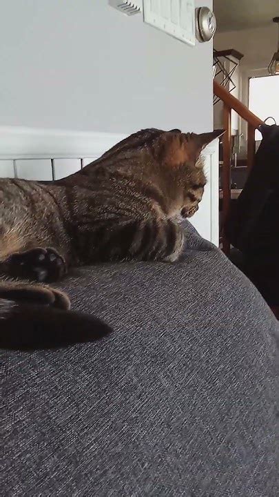 Trop Mignon 😍🥰 Youtube