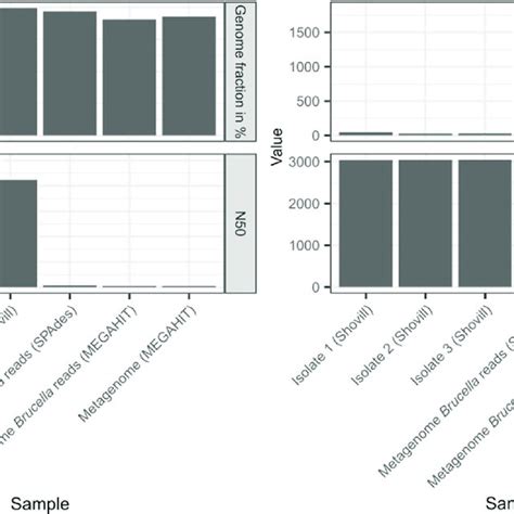 Statistics For Different Assembly Strategies Assemblies Were Generated