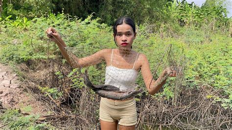 Best Hook Fishing Videos Lyta Nature Youtube