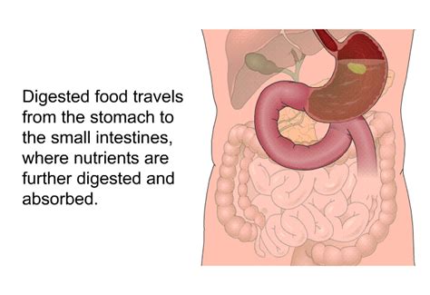 Upper Gi Endoscopy And Colonoscopy