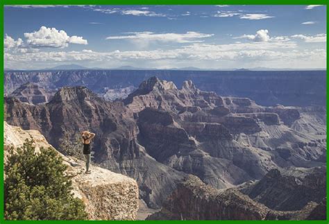 Applications Of Color Construct Code