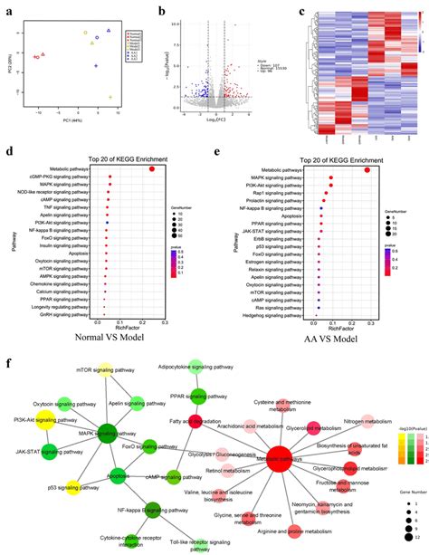 Transcriptomics Analysis Between The Aa And Model Group And Integrated