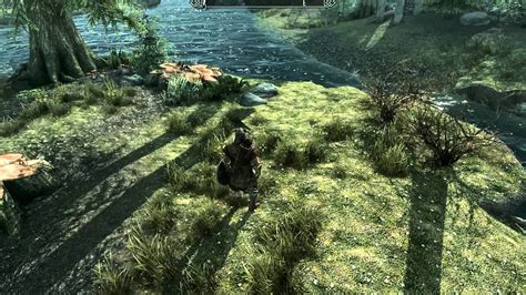 The Elder Scrolls V Skyrim NVIDIA Ambient Occlusion YouTube