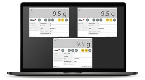 Gram Rs232 Connection Incl Pc Software Xtrem Weighing Net