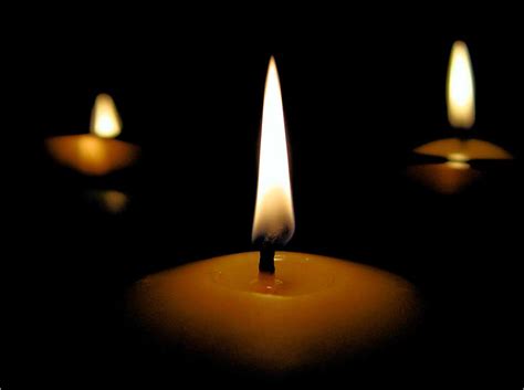 The Natural Candle Of Life Giving Intellect Richard Geib
