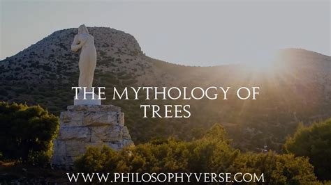 The Mythology Of Trees