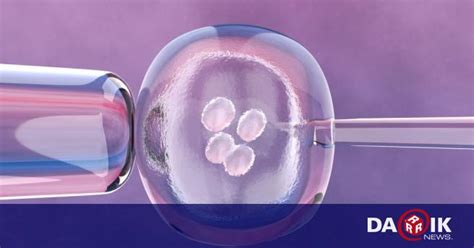 14 двойки са кандидатствали за финансиране от община Дупница за ин витро процедури Dariknews Bg