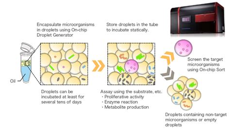 On Chip Droplet Generator On Chip Biotechnologies