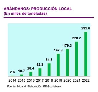 Exportaciones peruanas de arándanos crecerían 30 en campaña 2022 2023 Infobae