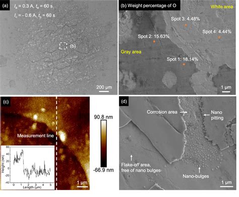 Figure 4 From Significance Of Waveform Design To Achieve Bipolar