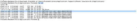 Ios Application Security Part 28 Patching Ios Application With Hopper