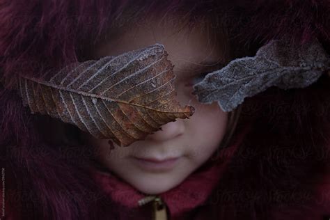 Frosty Leaves By Stocksy Contributor Julia Forsman Stocksy