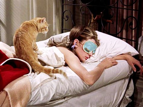 Things Every Cat Owner Does But Doesnt Admit