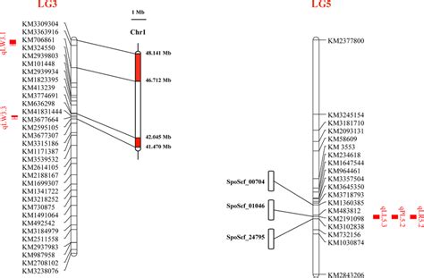 The Physical Position Of The Qtls That Were Detected At Least On Two
