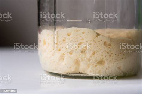 메이슨 항아리에 파테 발효 또는 오래된 반죽을 클로즈업하여 빵 반죽을 부풀어질 준비가 되었습니다 부풀어 오름에 대한 스톡 사진