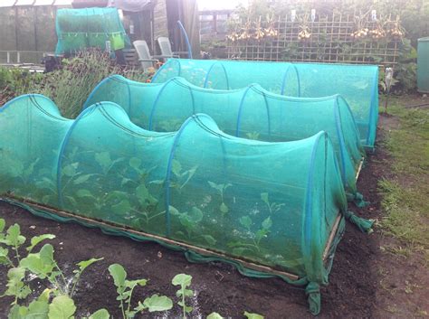 Netting For Raised Garden Beds At Jerry Magnuson Blog