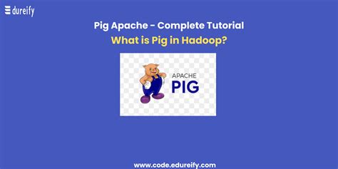 What Is Pig In Hadoob Updated 2022 Complete Tutorial Edureify Blog